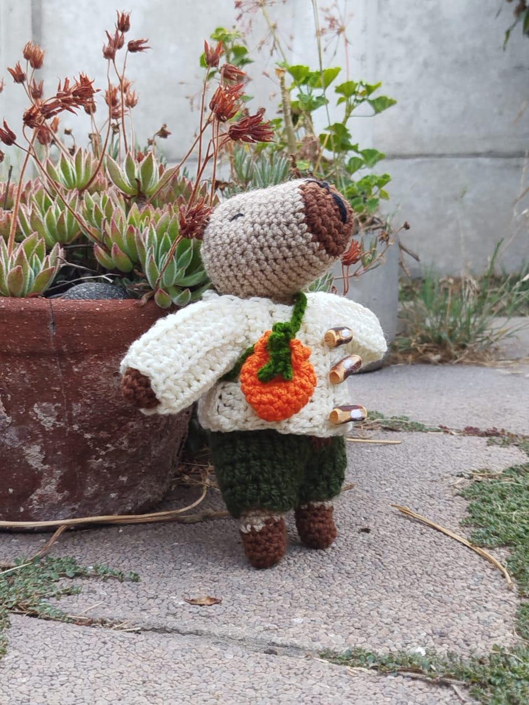 Crochet Pattern: Capybara With Clothes - Etsy