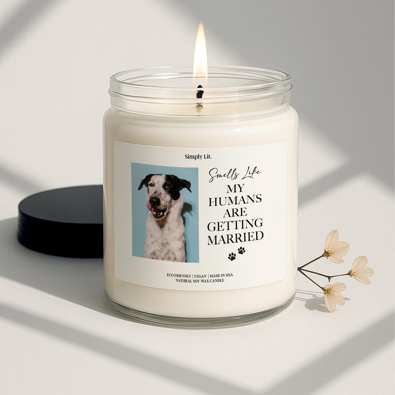 Cat Pictures With Human - Etsy