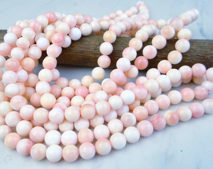 Pink Queen Conch Shell Smooth Round Beads- 8 Inches--6mm - Etsy