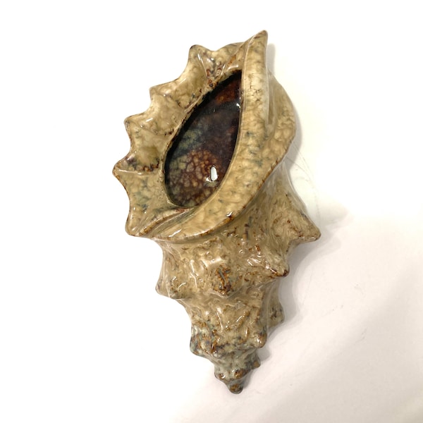 Seashell Pottery - Etsy