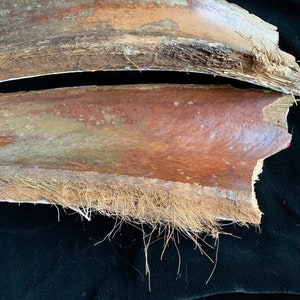 Palm Tree Wood, 8 Painted Ready for Crafting Your Project. - Etsy