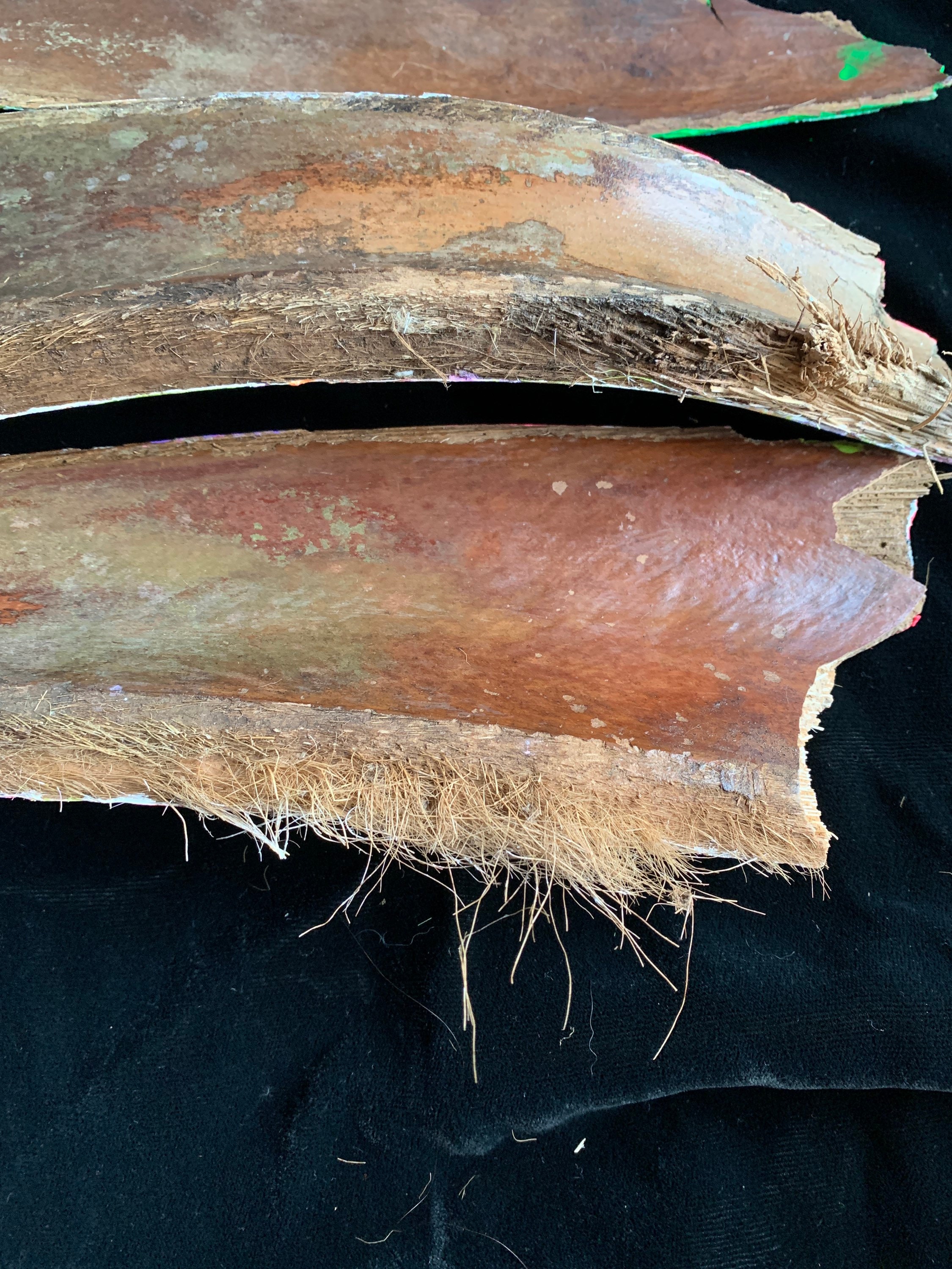 Palm Tree Wood, 8 Painted Ready for Crafting Your Project. - Etsy