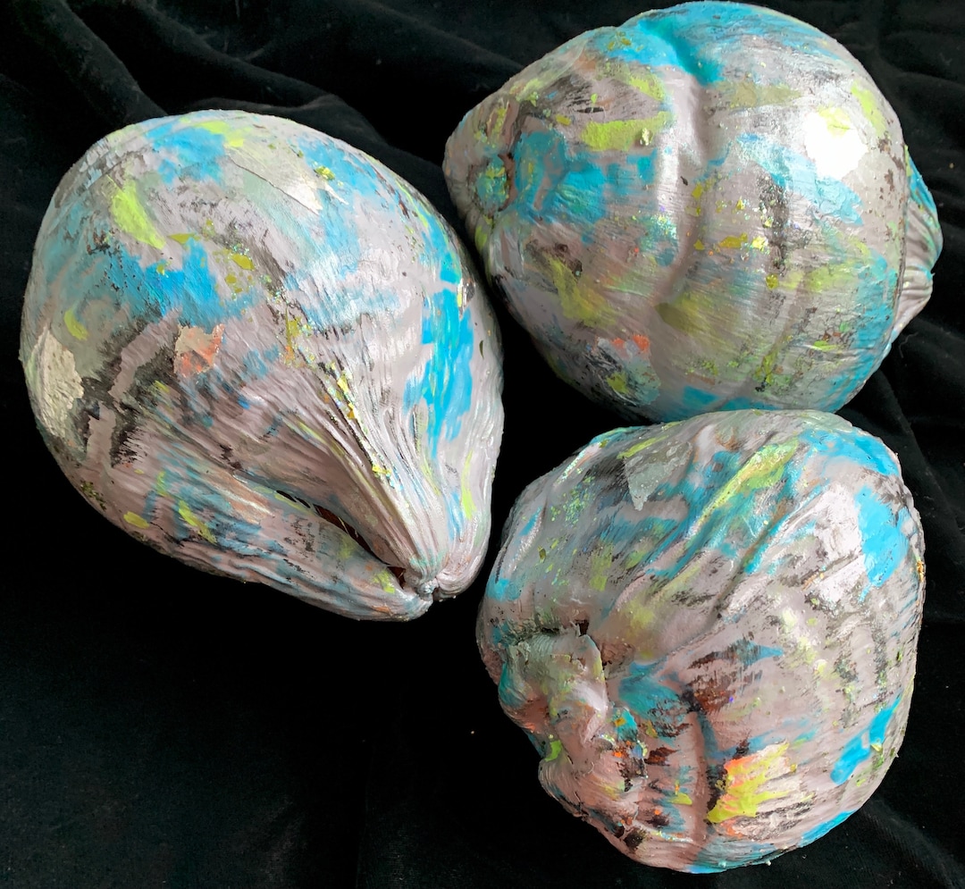Coconuts Silver Leaf, and Painted Perfect. Home Decor. - Etsy
