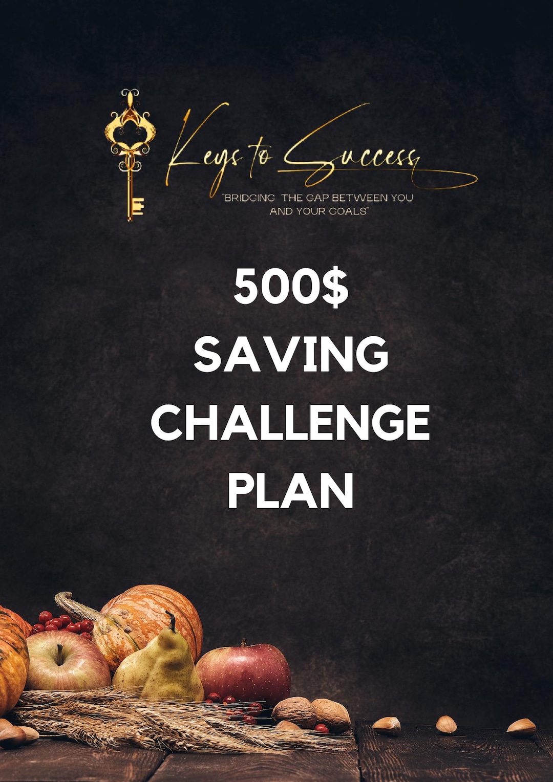500 Dollars Savings Challenge Plan | Digital Download | Printable PDF ...