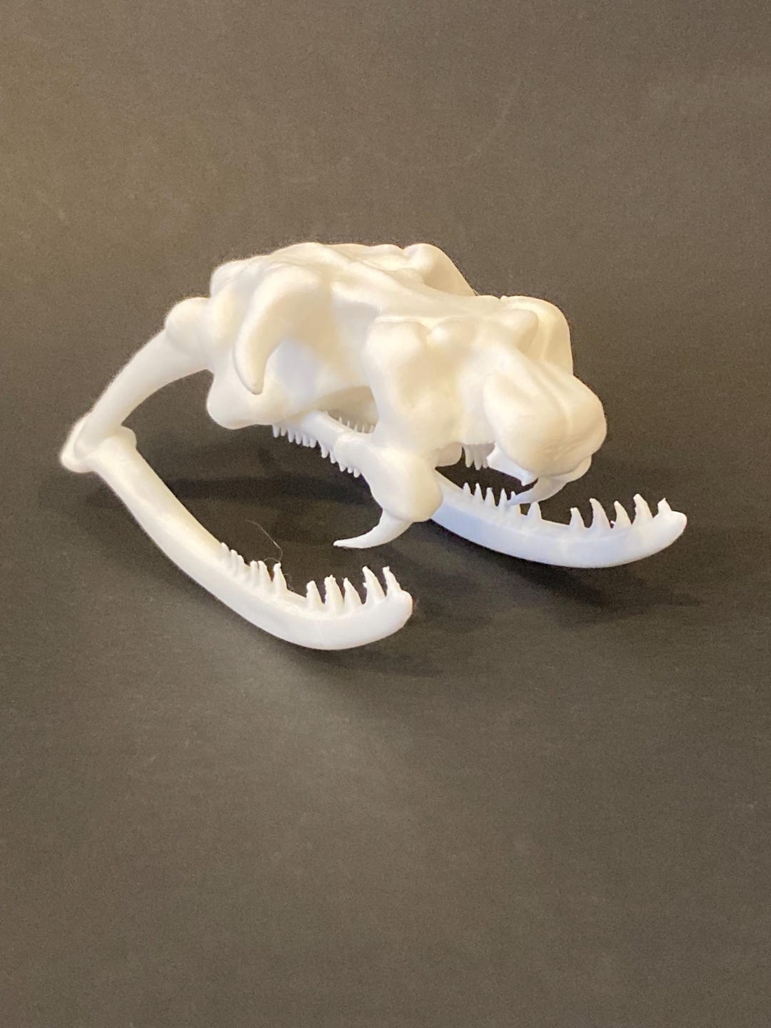 Cruelty Free King Cobra Snake Skull, Life Size 1:1 3d Printed Snake ...