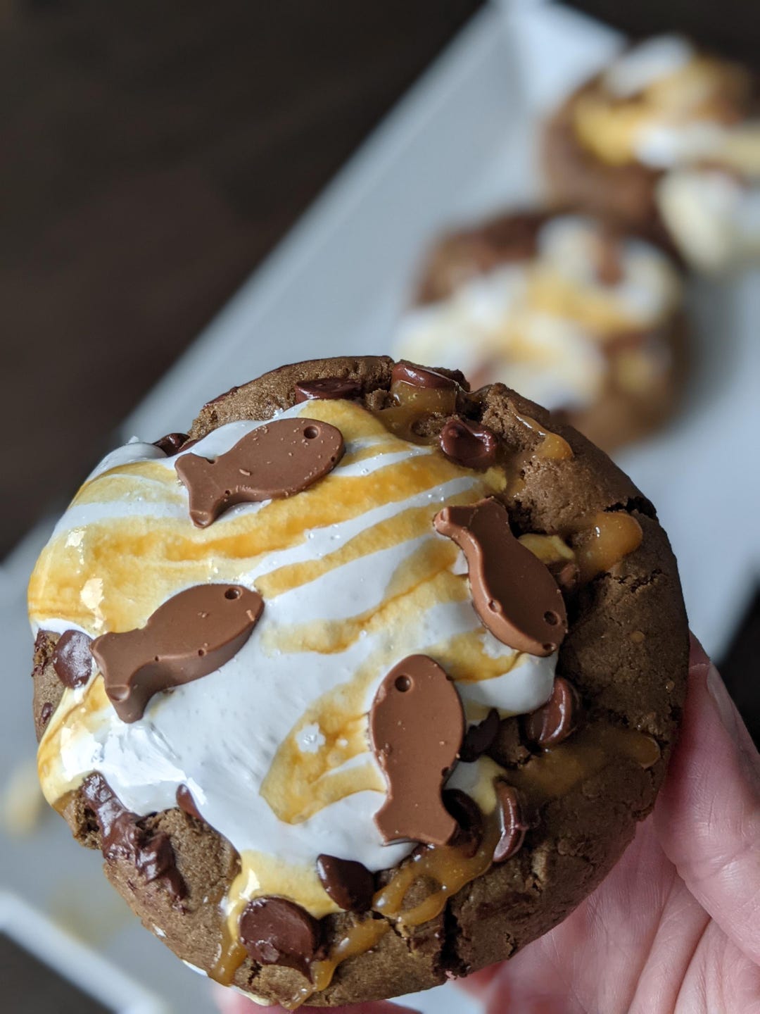 Phish Food Chocolate Cookie Recipe, Cookie Recipe, Digital Download ...