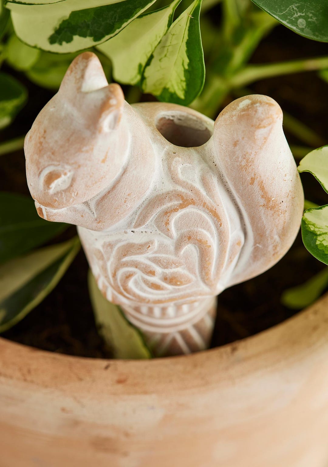 Squirrel Water Spike, Terracotta Plant Water Spikes, Automatic Watering ...