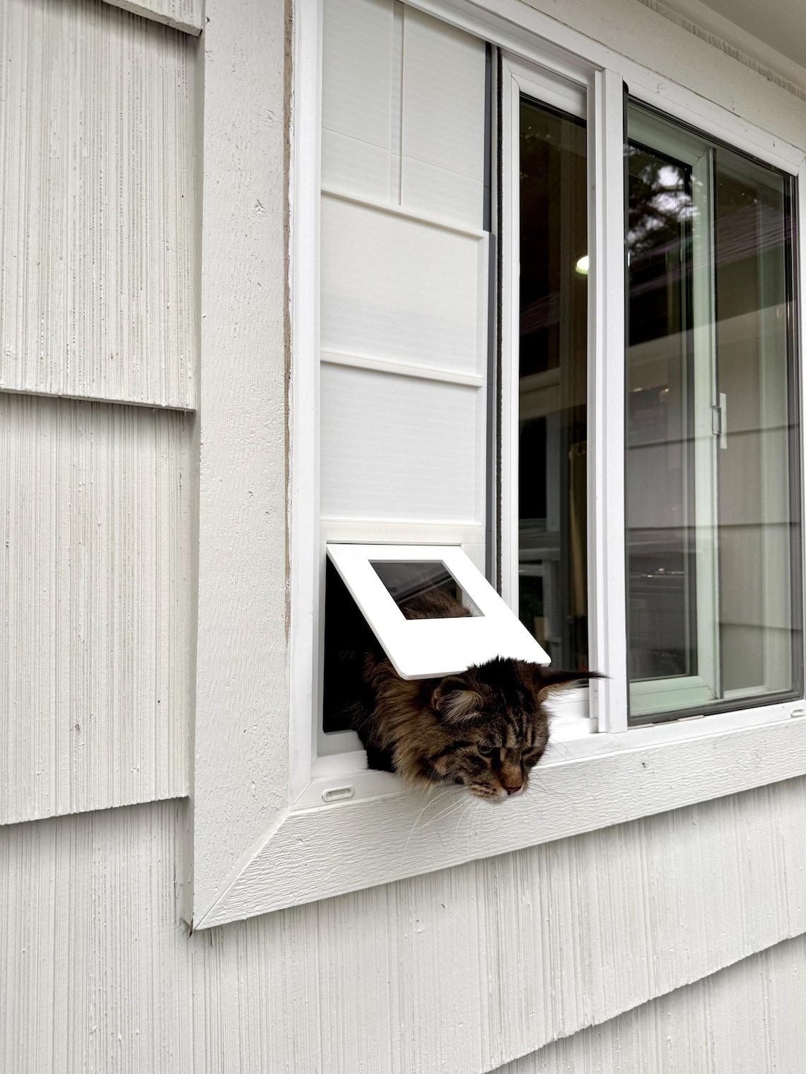Vertical Cat Door for Sliding Window - Resizable, Fits 16-36 Inch Windows - Easy Install, No ...