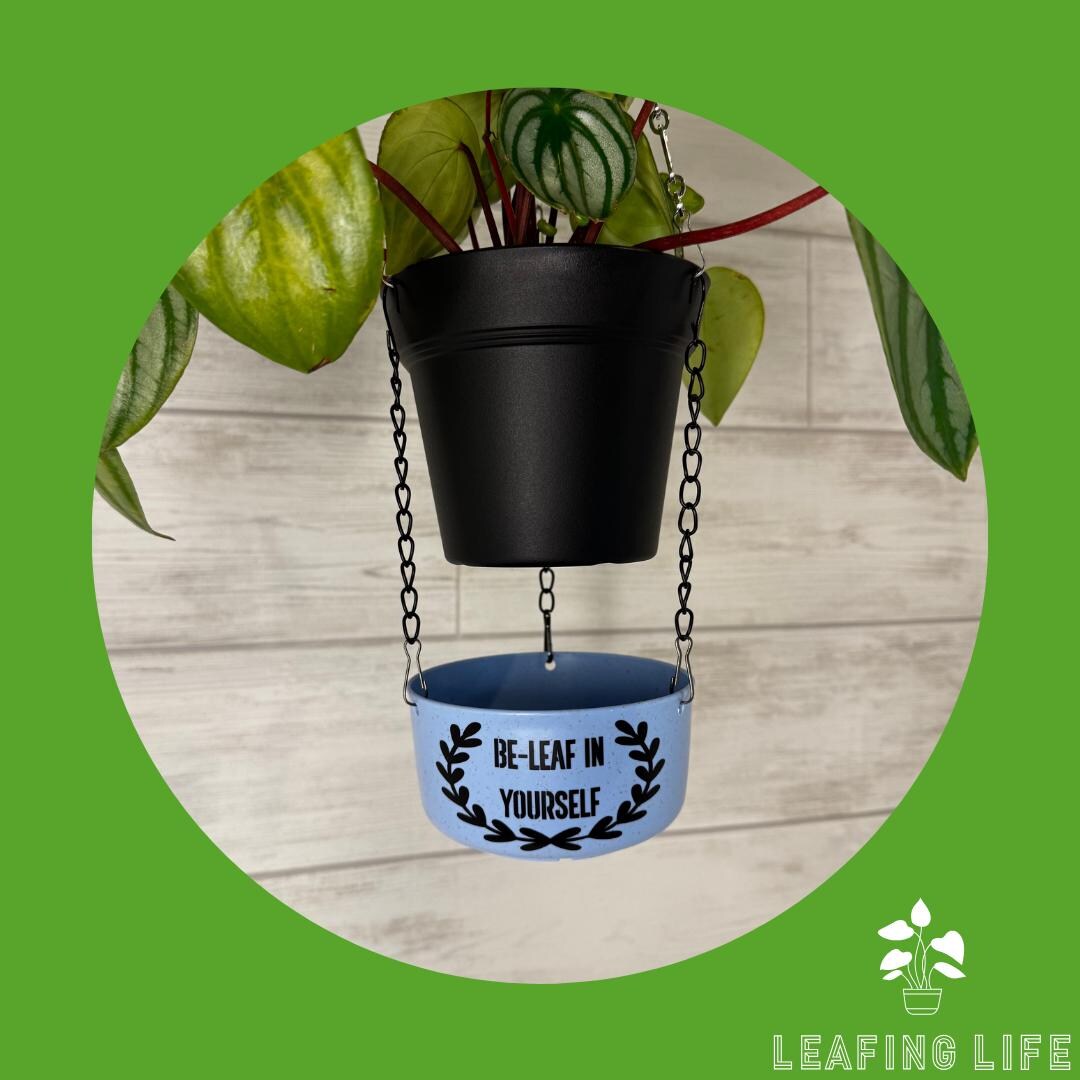 Small Hanging Catch Tray With Plant Quotes for 5” & 6” Pots |mess-free ...