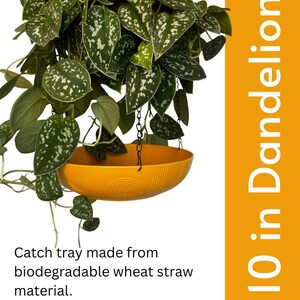 9-10” Hanging Plant Drainage | Eco-friendly Catch Trays With Chain | No ...