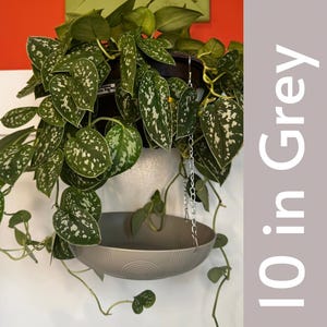 9-10” Hanging Plant Drainage | Eco-friendly Catch Trays With Chain | No ...
