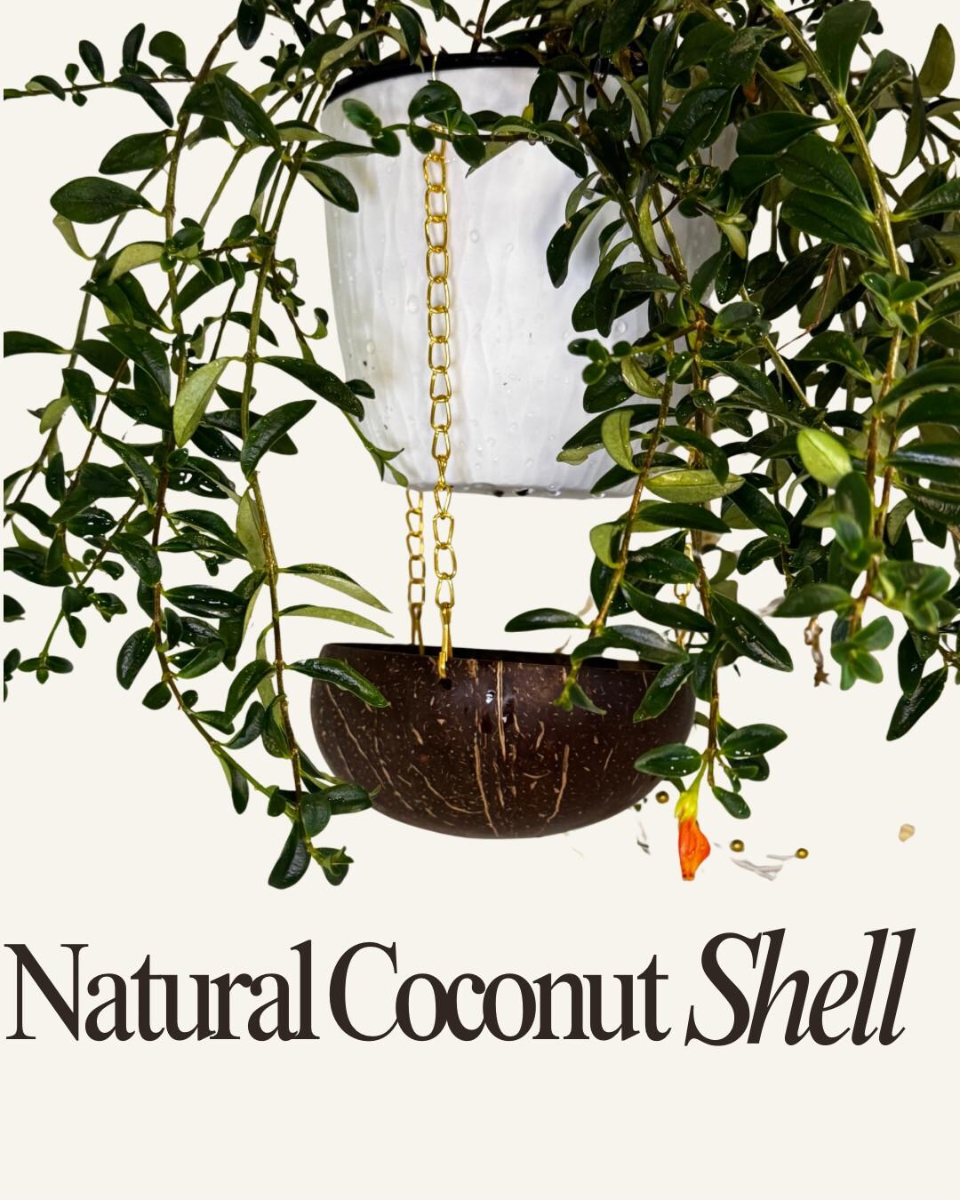 Coconut Shell Hanging Catch Tray With Gold Chain — Natural, Sustainable ...