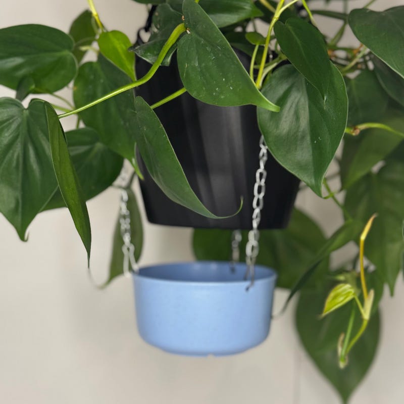 Silver Hanging Planter - Etsy