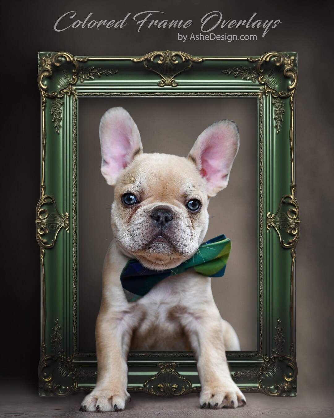 Digital Frame PNG Overlays, Photo Frame Clipart, Photoshop Frame ...