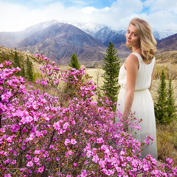 Mountain Photo Backdrop - Etsy