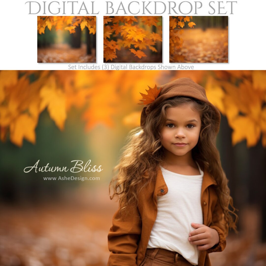 DIGITAL Photography Backdrop Set Autumn Bliss 3 16x20 Large Backdrops ...