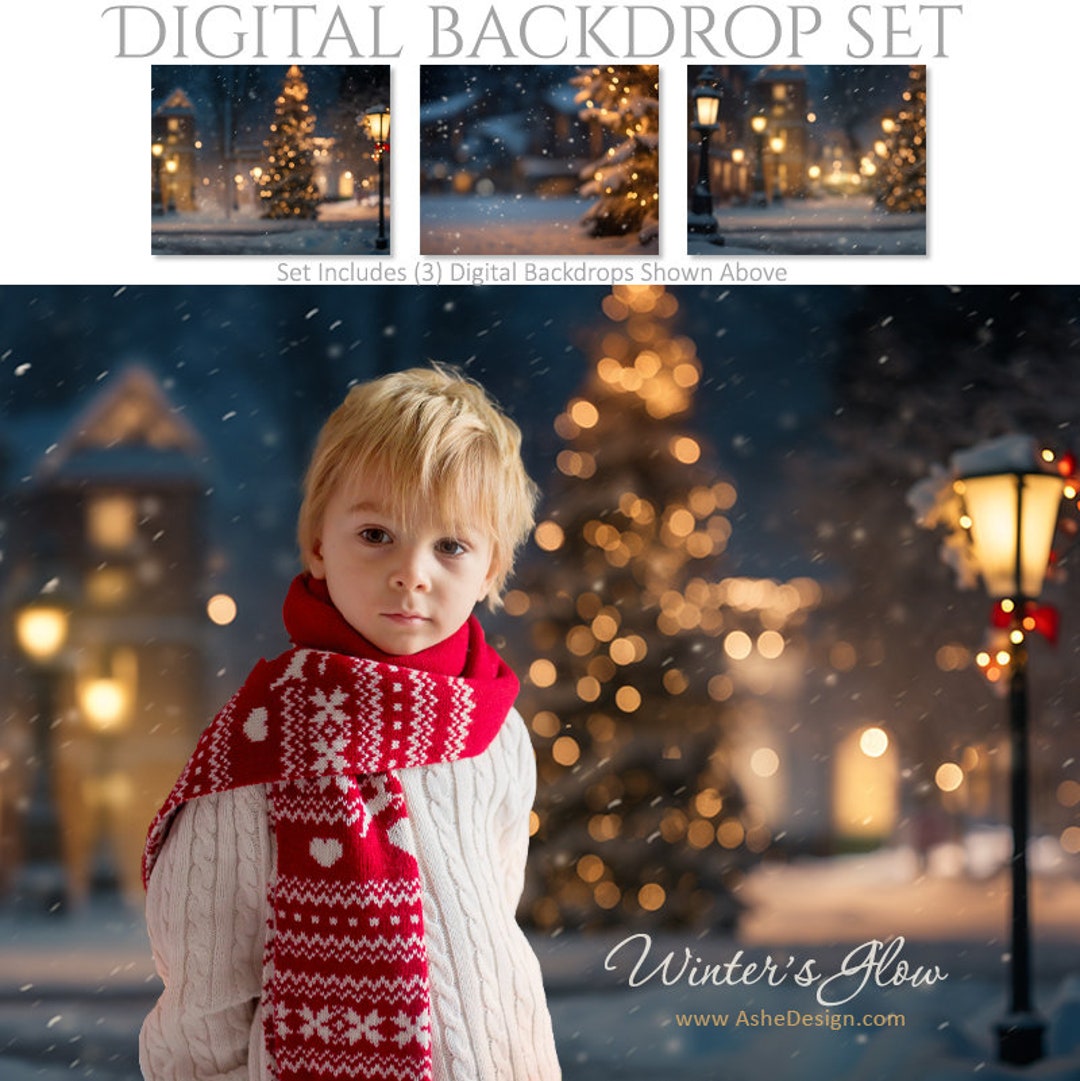 DIGITAL Photography Backdrop Set - Winter's Glow - (3) 16x20 Large ...