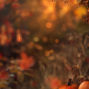 Fall Pumpkins Digital-backdrop Photoshop Template, Studio Digital ...