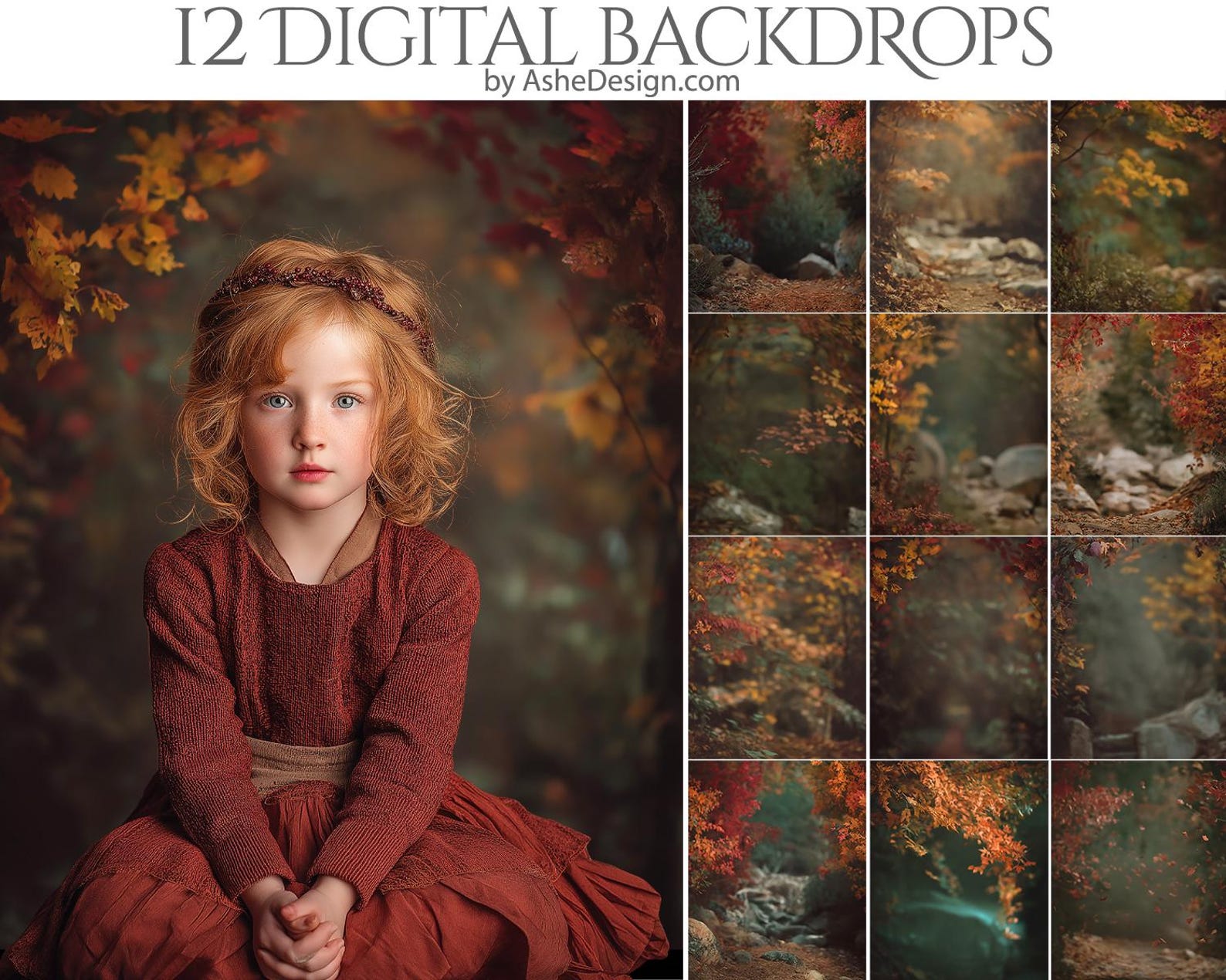 12 Fall Forests Digital Photography Backdrops, Photoshop Overlays ...