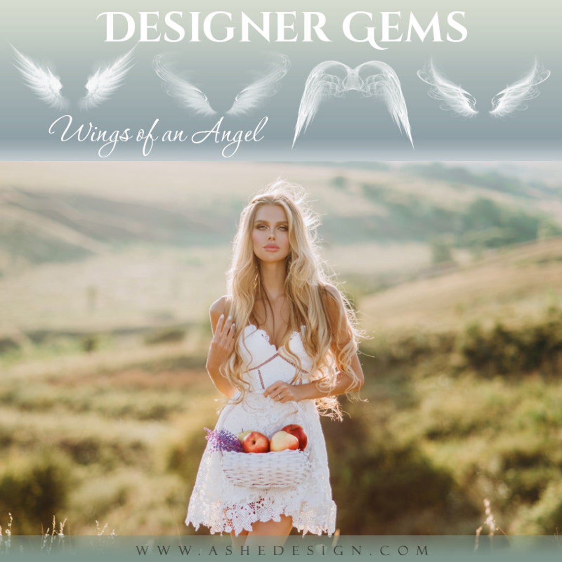 Designer Gems Overlays Wings of an Angel 4 Photoshop - Etsy