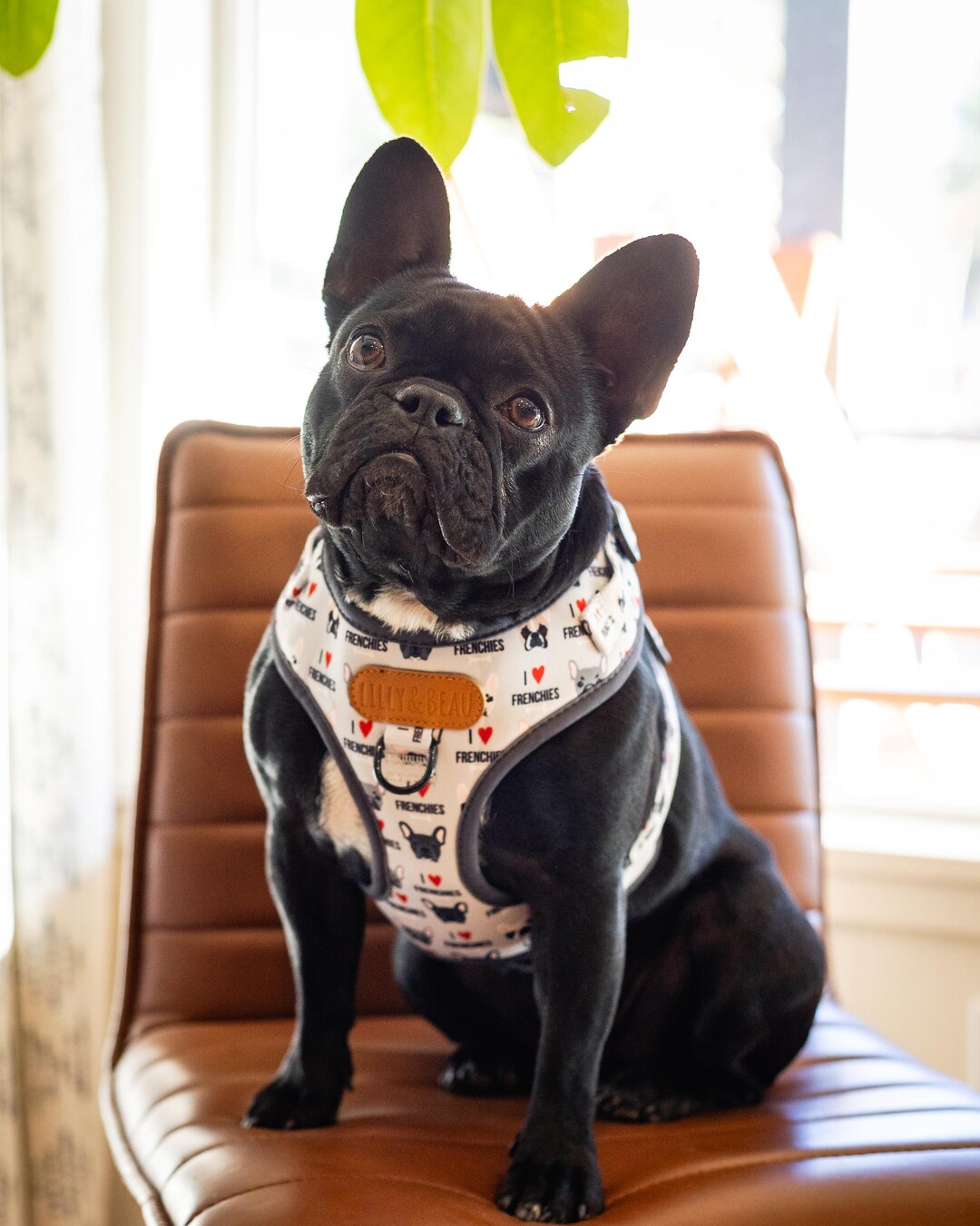 The I LOVE Frenchie Dog Harness, Adjustable Harness, Dog Walking Vest ...