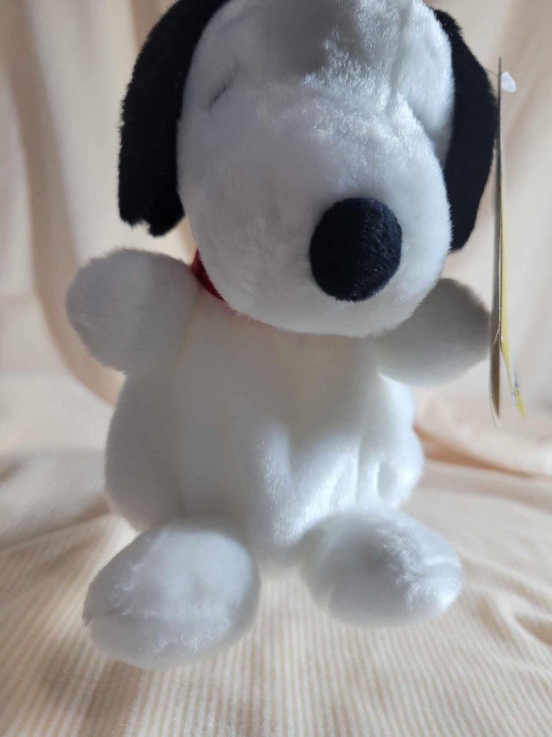 Snoopy Gift Set. - Etsy