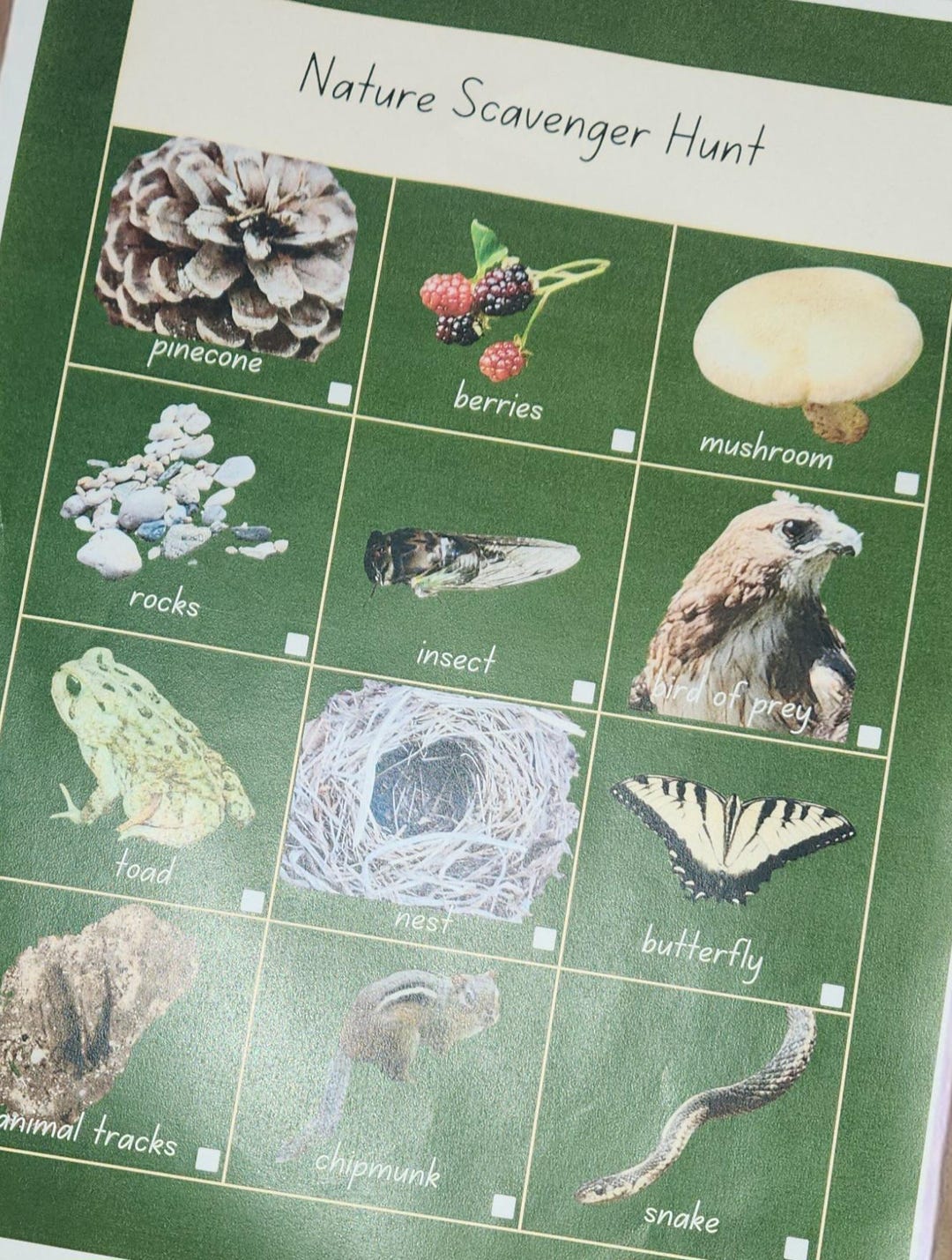 Nature Scavenger Hunt - Etsy