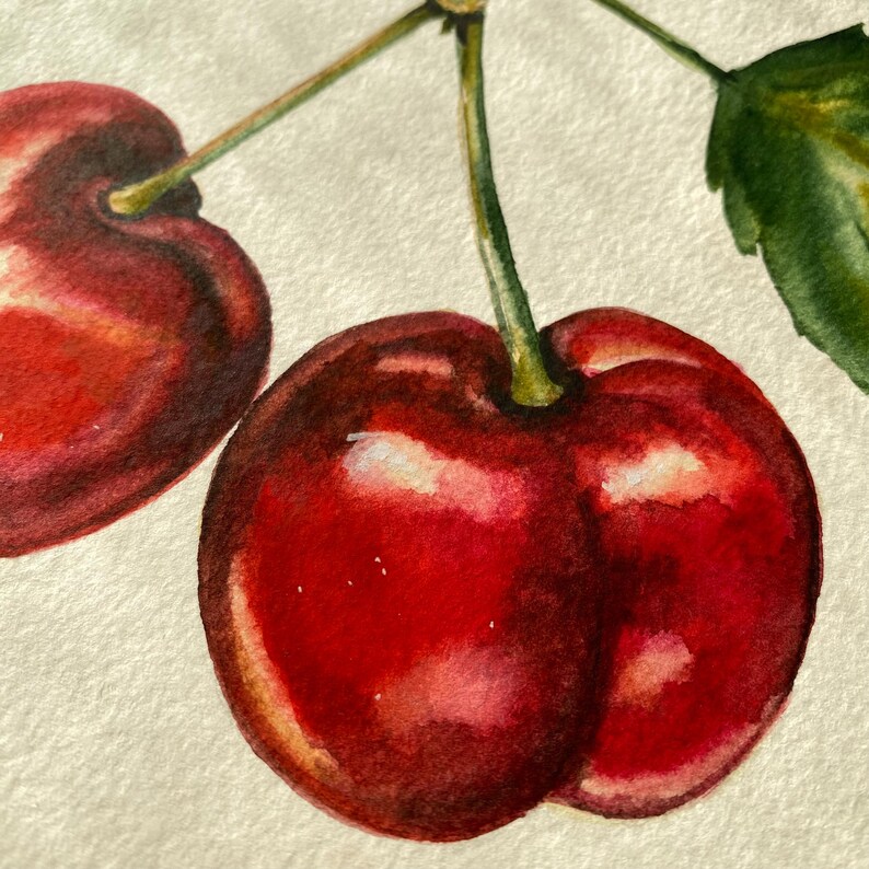 Cherry Watercolor Painting: Original Kitchen Fruit Artwork, Farmhouse ...