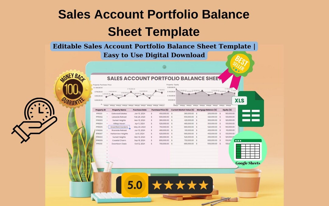 Editable Sales Account Portfolio Balance Sheet Template | Easy to Use ...