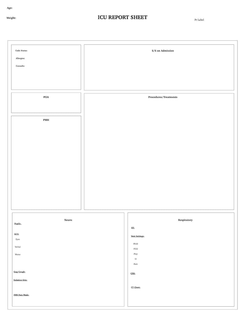 ICU Report Sheet - Etsy