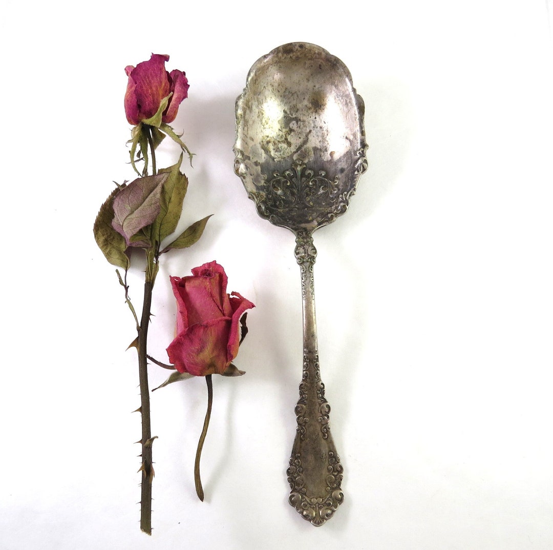Antique Ornate Spoon Scalloped Edge Bowl, Large Vintage Spoon, 1847 ...
