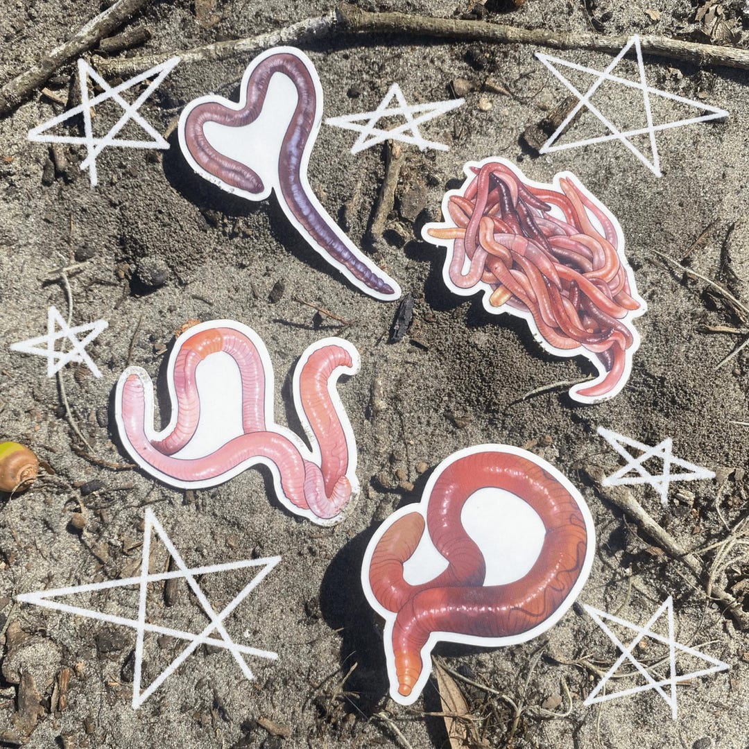 Worm Sticker Pack - Etsy