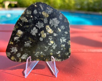 Vancouver Island Dallasite Breccia Slab Polished - Etsy