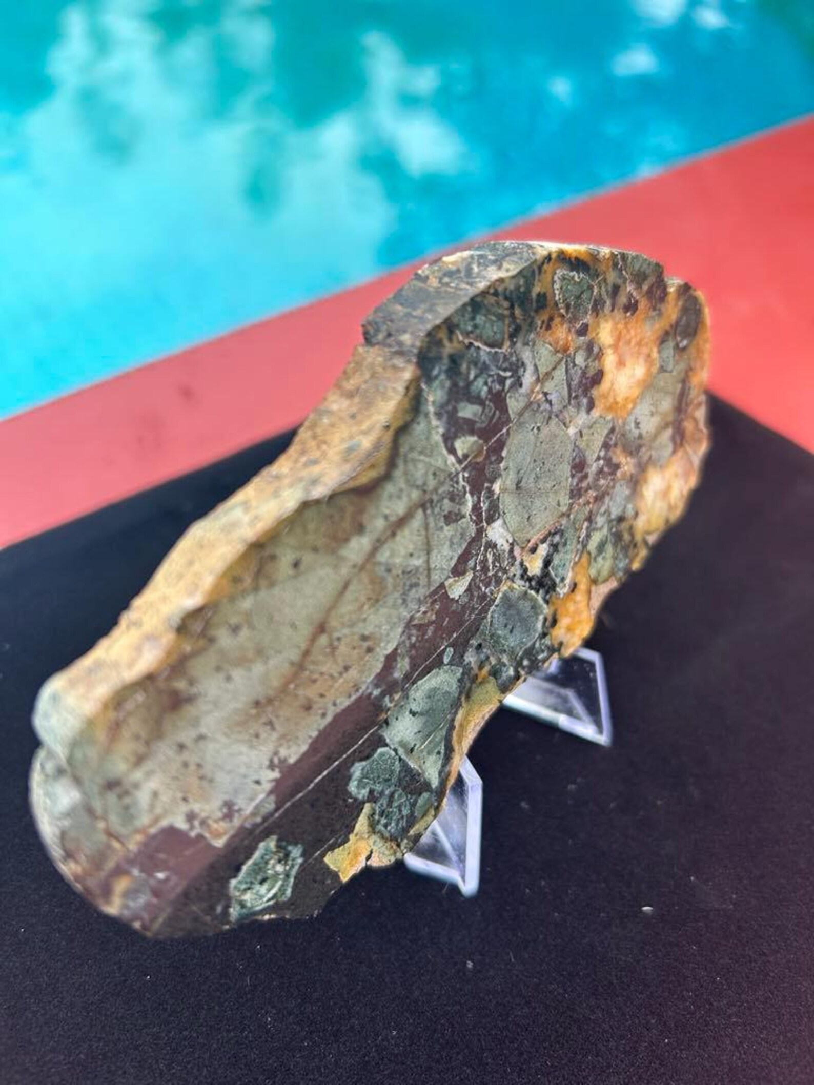 Vancouver Island Dallasite Breccia Slab Polished - Etsy