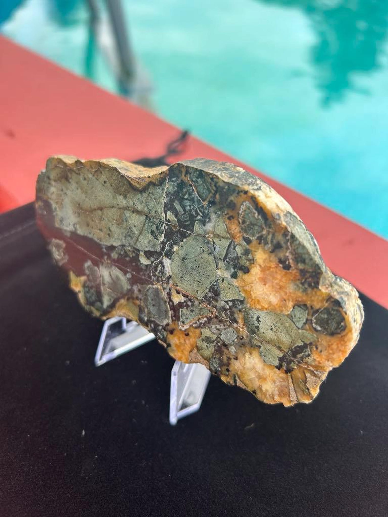 Vancouver Island Dallasite Breccia Slab Polished - Etsy