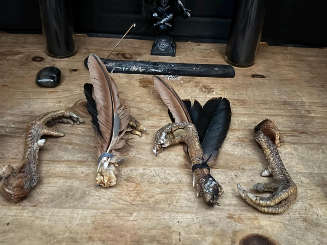 Authentic Rooster Feet - Etsy