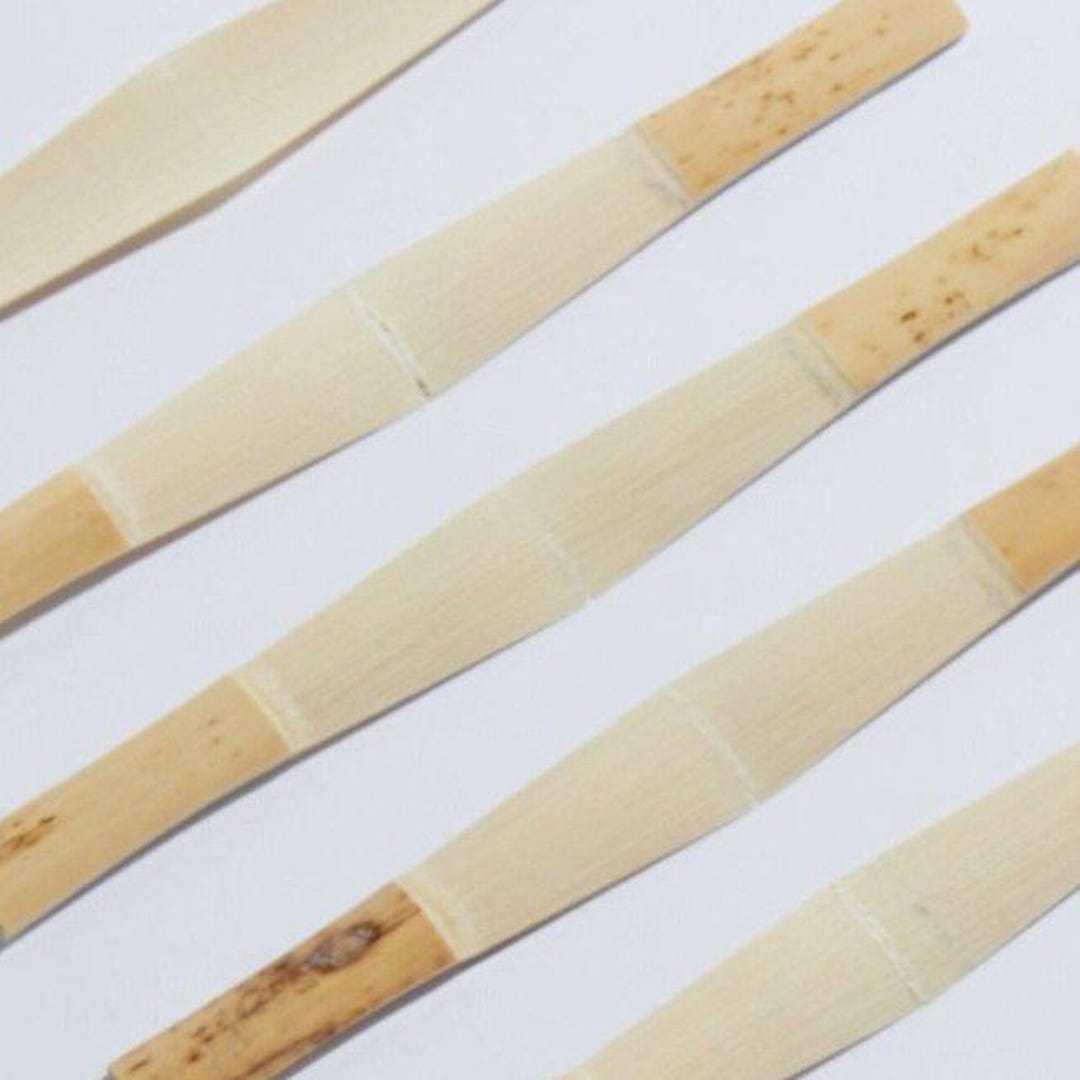 Reed Maker's Dozen 14-pack GSP Bassoon Reed Cane (gouged, Shaped, and ...