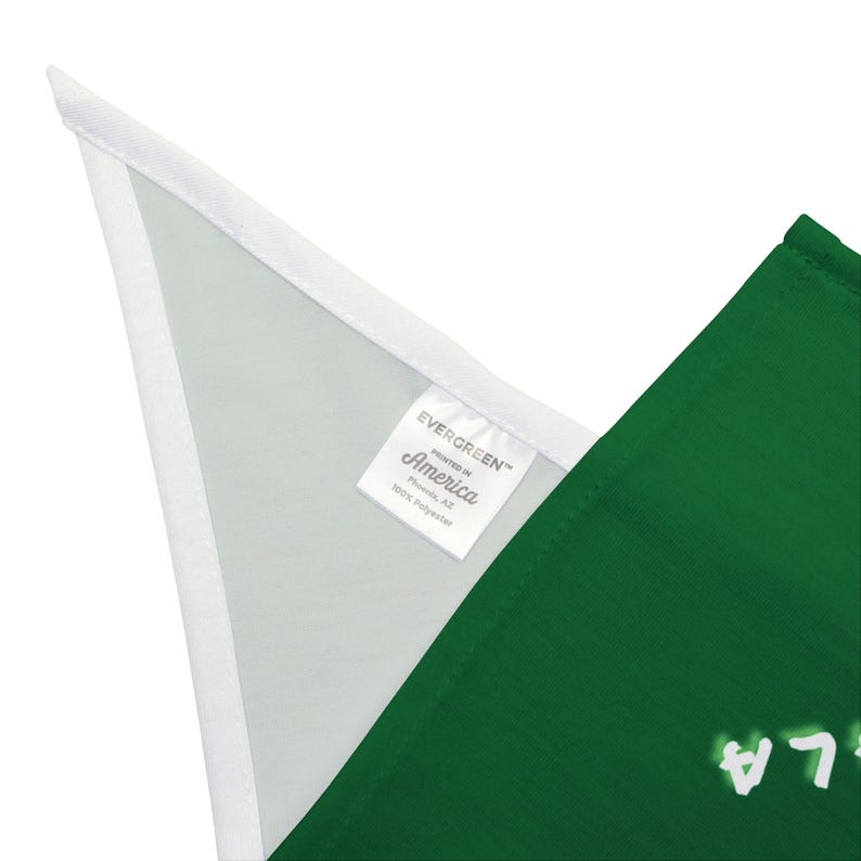 Falcon Kitty Pet Bandana, Saudi Soccer Cat Gift, Personalized Polyester ...
