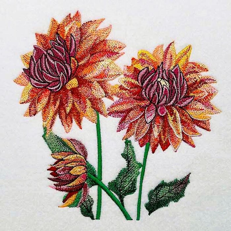 Dahlia Machine Embroidery Designs Multiple Sizes S L Premium Embroidery ...