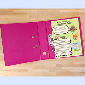 DBT Check the Facts Skill Handout | Therapy Exercises for Emotional ...
