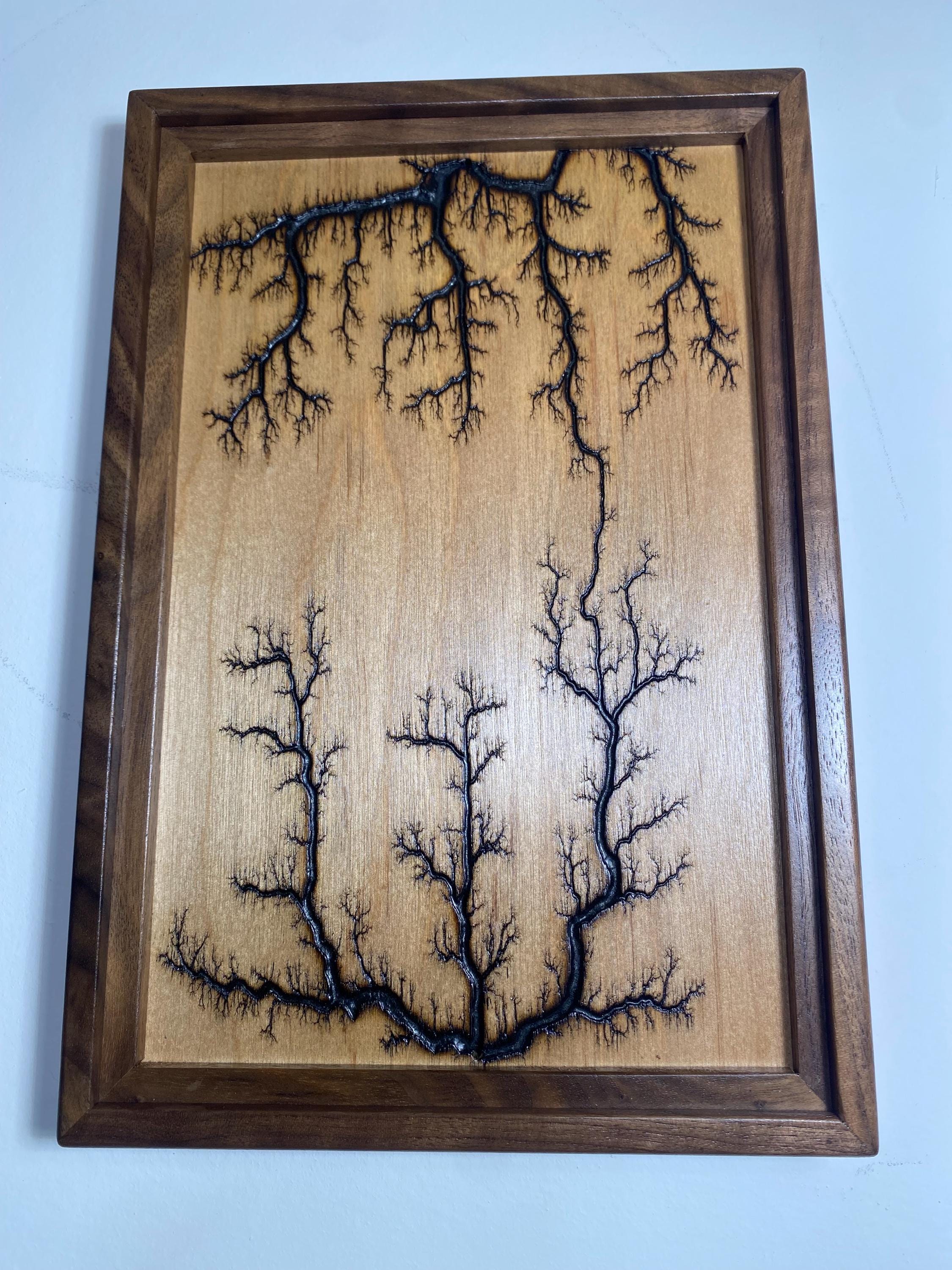 Lichtenberg Fractal Wood Burning Wall Art Framed - Etsy
