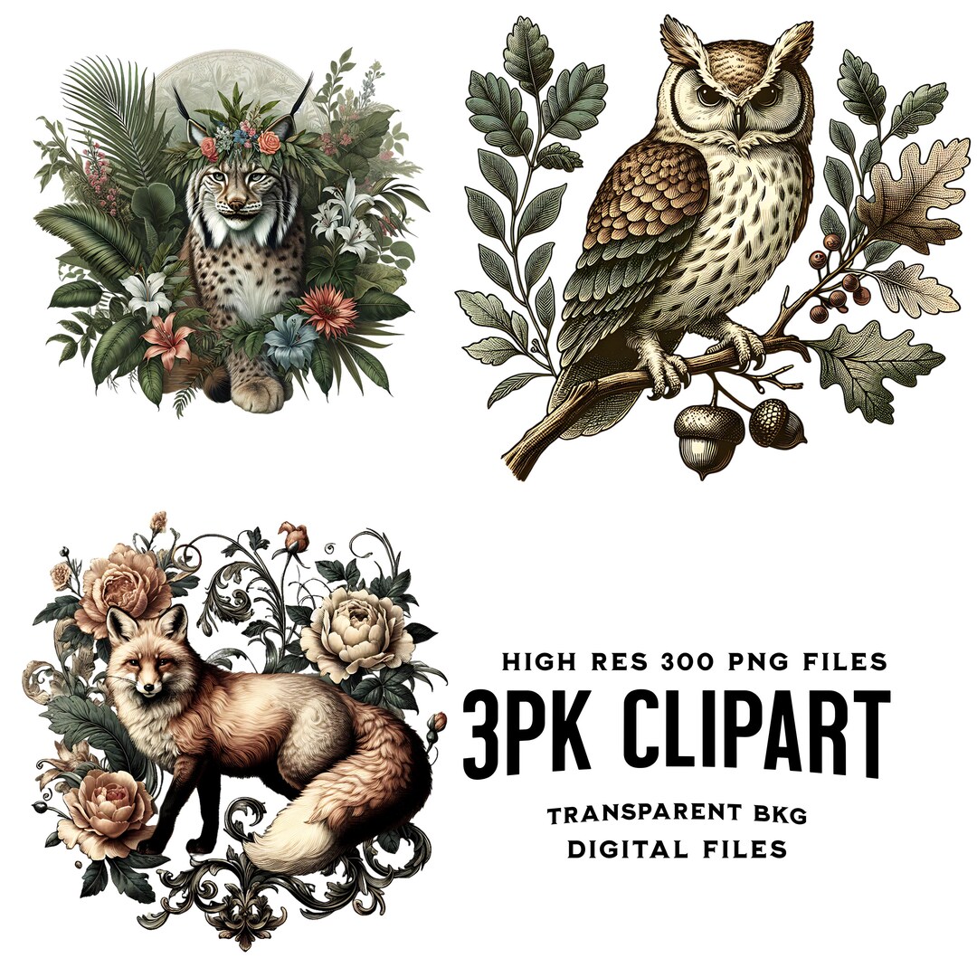 Vintage Botanical Animals Clipart Bundle | Digital Download | Boho ...