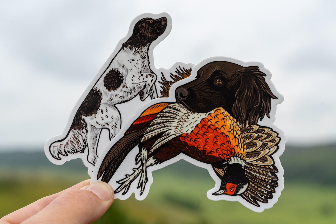 Small Münsterländer Hunting Dog Sticker – on Point & Pheasant Retrieve ...
