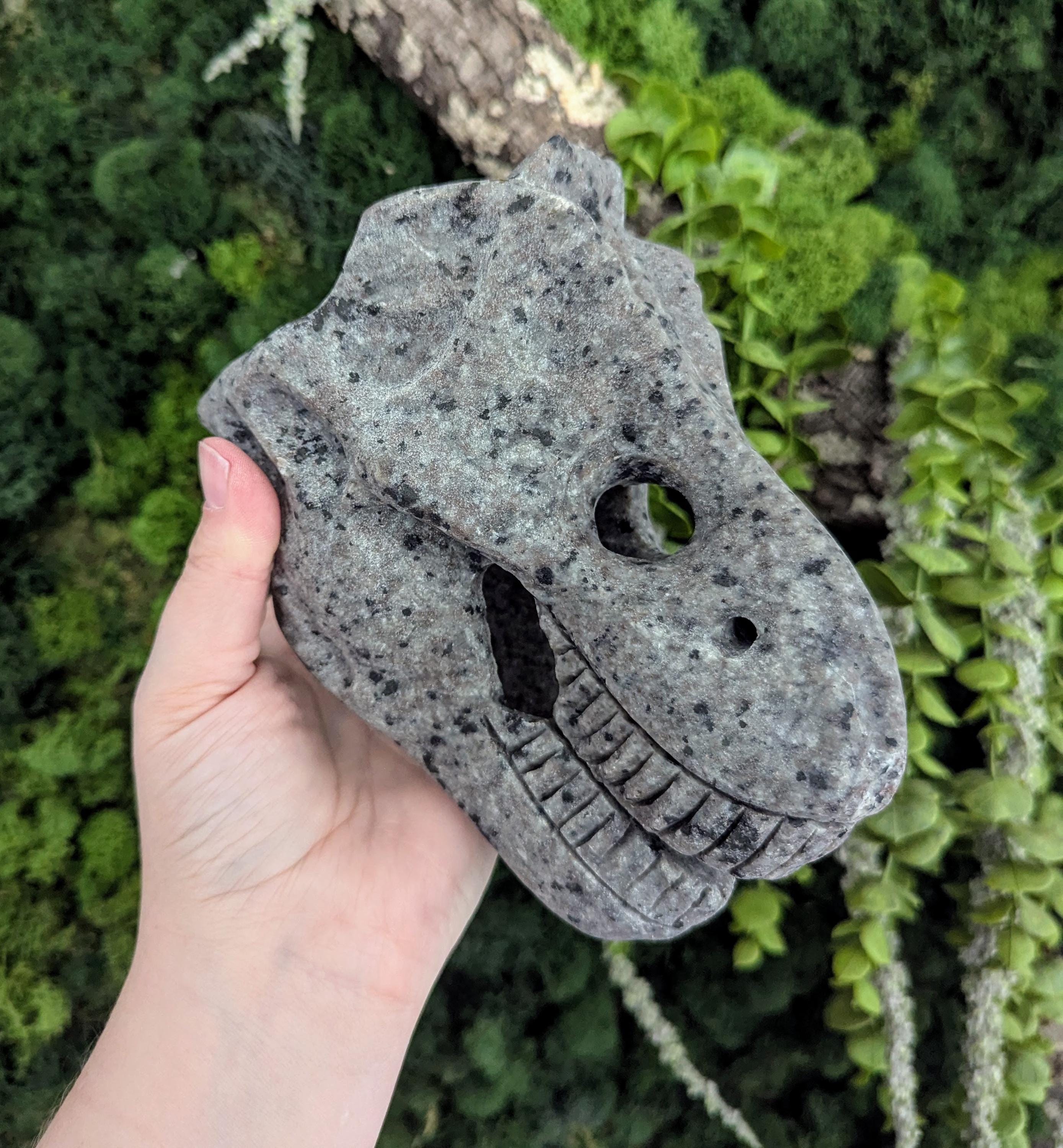Large Yooperlite T-rex Dinosaur Skull Carving | UV Reactive Stone of ...