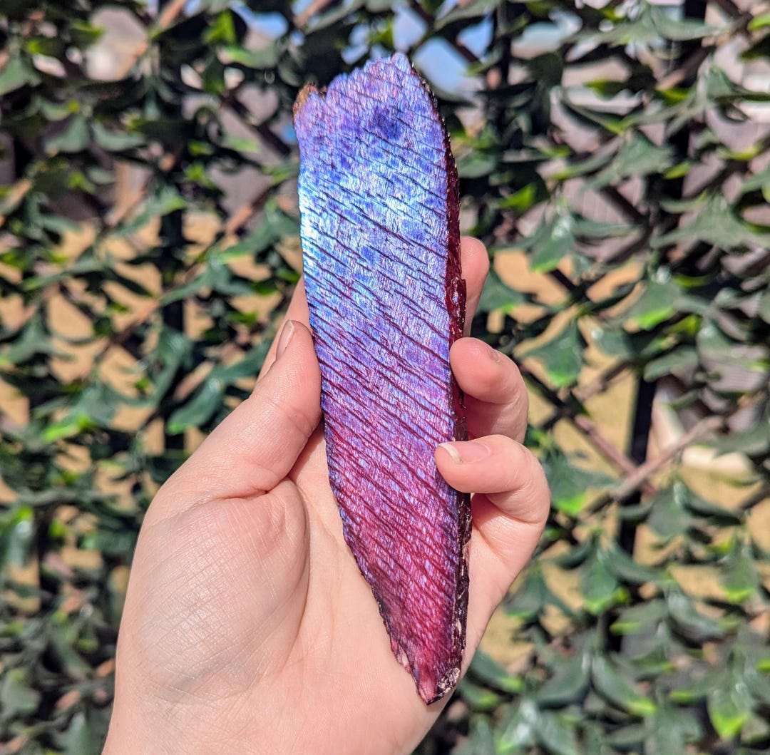 Red Moonstone Slabs With Blue Flash | Stone of Emotional Healing ...