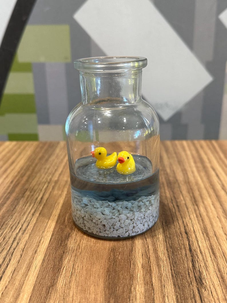 Pair of Rubber Ducks in a Bottle - Etsy