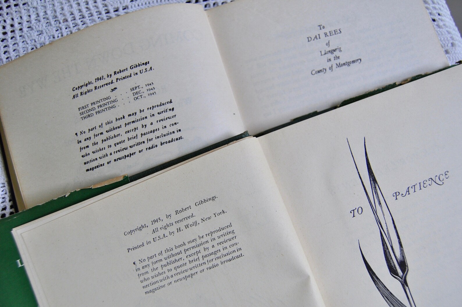 Coming Down the Wye/illustrated Nature Writing Book on Rural | Etsy