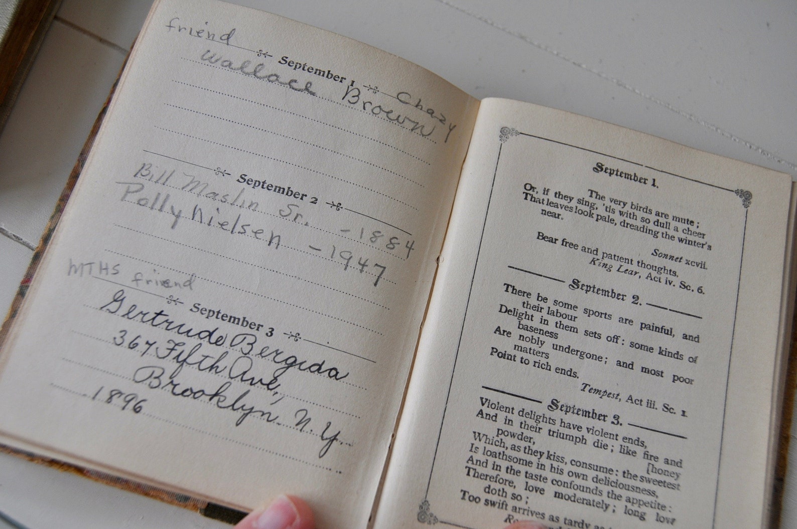 Antique Shakespeare Birthday Book: 1900s Diary With Entries ...
