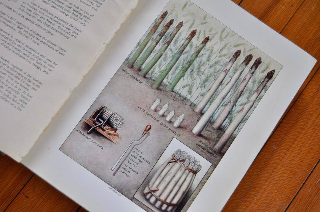 The Grower’s Encyclopedia/antique Book for Grocer Storekeeper/by ...