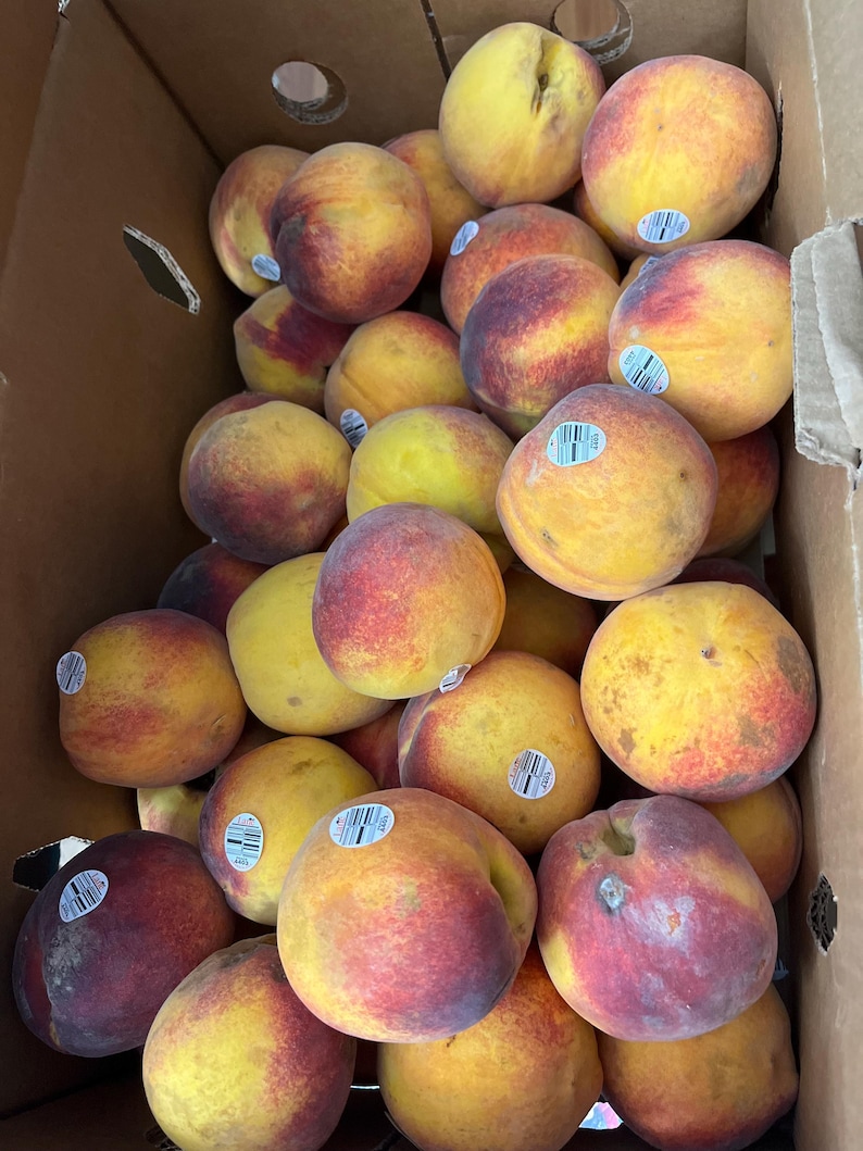 Freeze Dried Fresh Peaches - Etsy